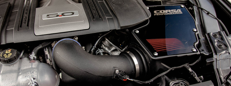 Mustang (GT, EcoBoost, GT500, V6)